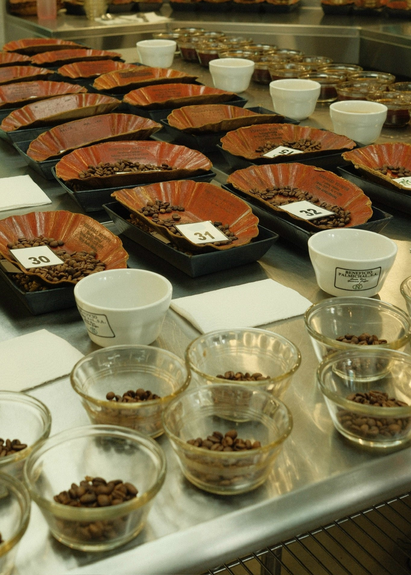 APEX COFFEE IMPORTS – Apex Coffee Imports